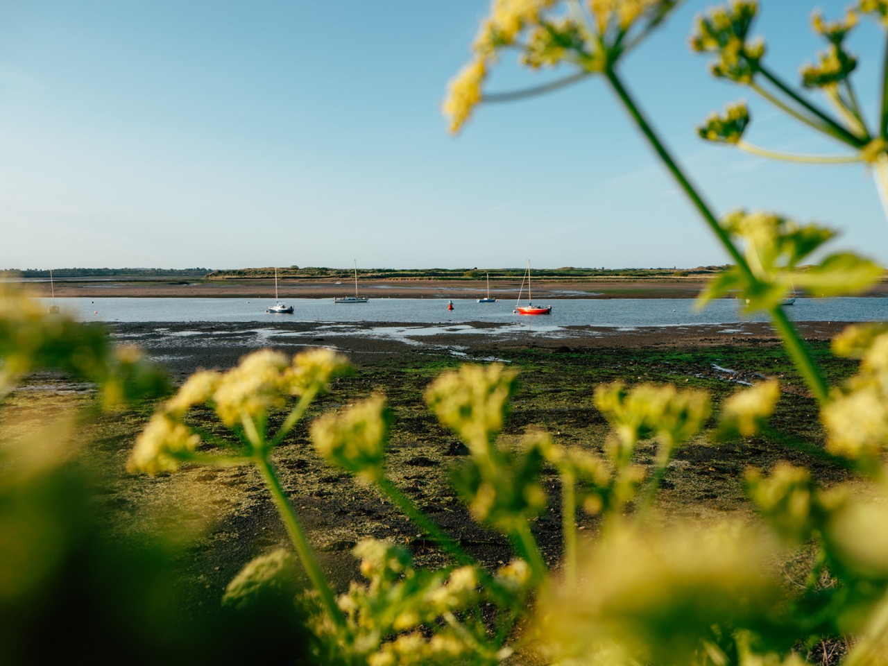 Top things to do on the Isle of Sheppey for all ages | Seaview Leysdown